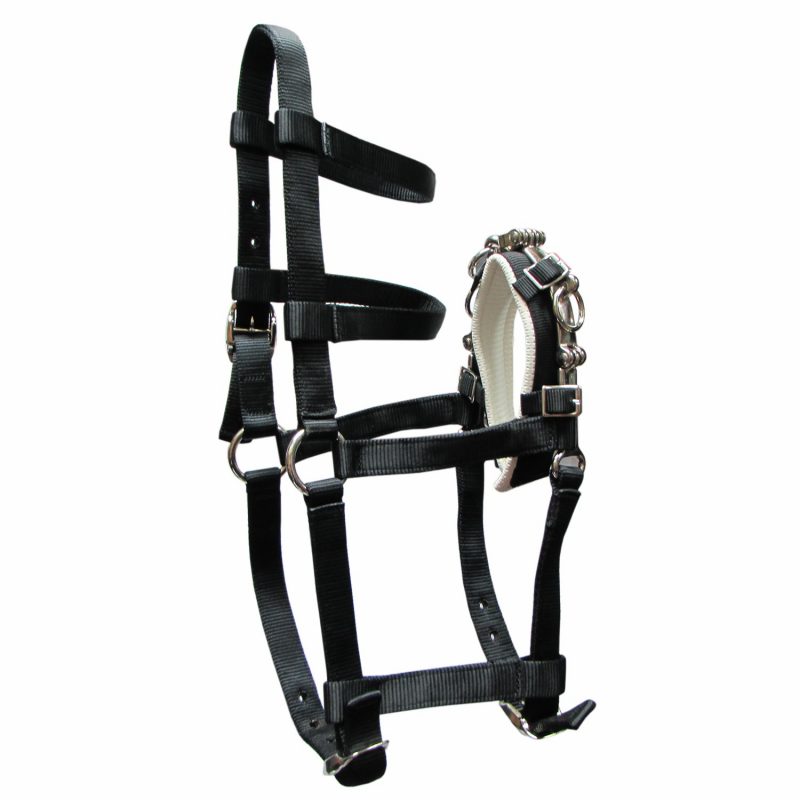 Jáquima premium negra lunging halter Jack's — Vet Blanco